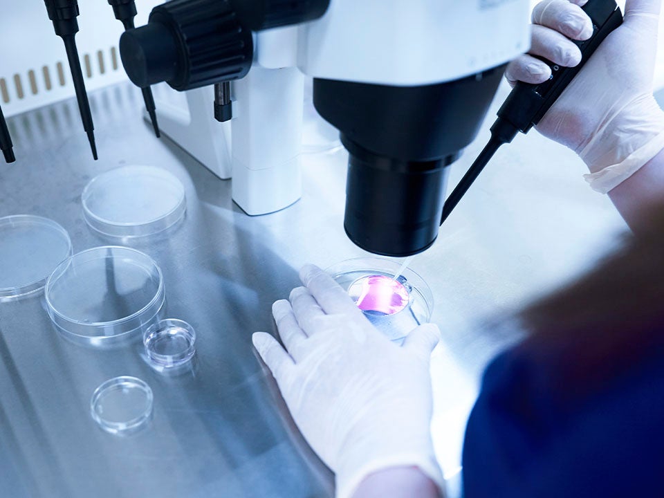 E quando há Confronto de Diagnósticos Divergentes entre Biópsia e Peça ...